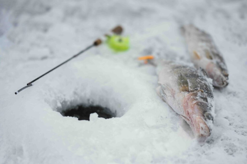 Ice Fishing Essentials: Gear, Safety, and Tips for a Successful Frozen ...
